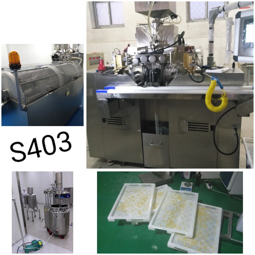 Small Softgel Encapsulation Machine Production Line For Making Soft ...