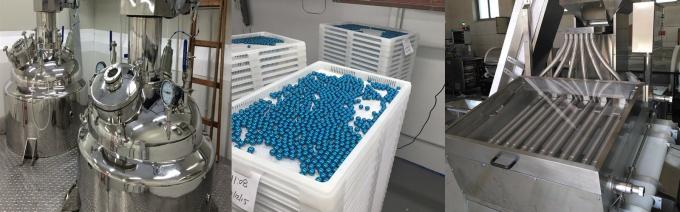 Stainless Steel Softgel Encapsulation Machine For Oval Oblong Shape ...