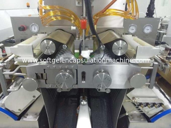 Ss Capsule Filling Machine Parts Fill Material Injection Plungers Pump ...